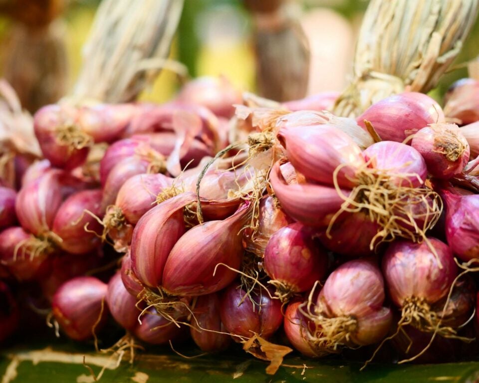 The Best Spring Onion Substitutes for Your Kitchen - Namely Marly