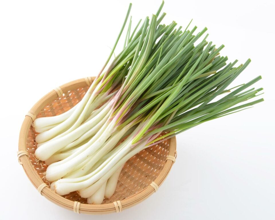 The Best Spring Onion Substitutes for Your Kitchen - Namely Marly
