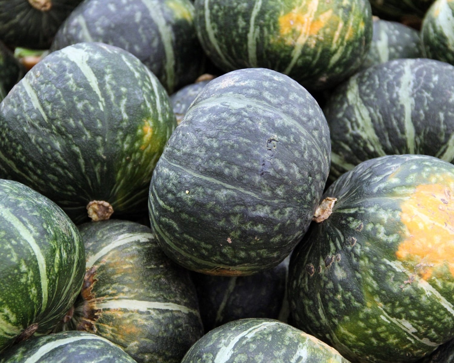 Vegetables That Start with K - Namely Marly