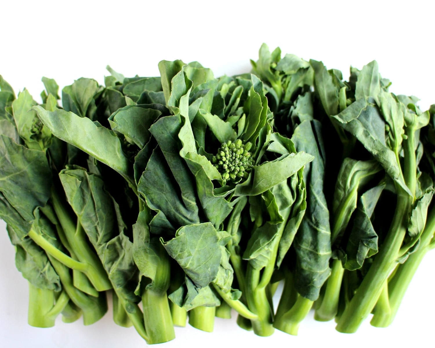 Vegetables That Start with K - Namely Marly