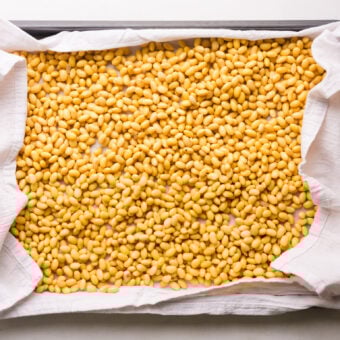 Crunchy Roasted Soybeans: A Healthy Plant-Based Snack - Namely Marly