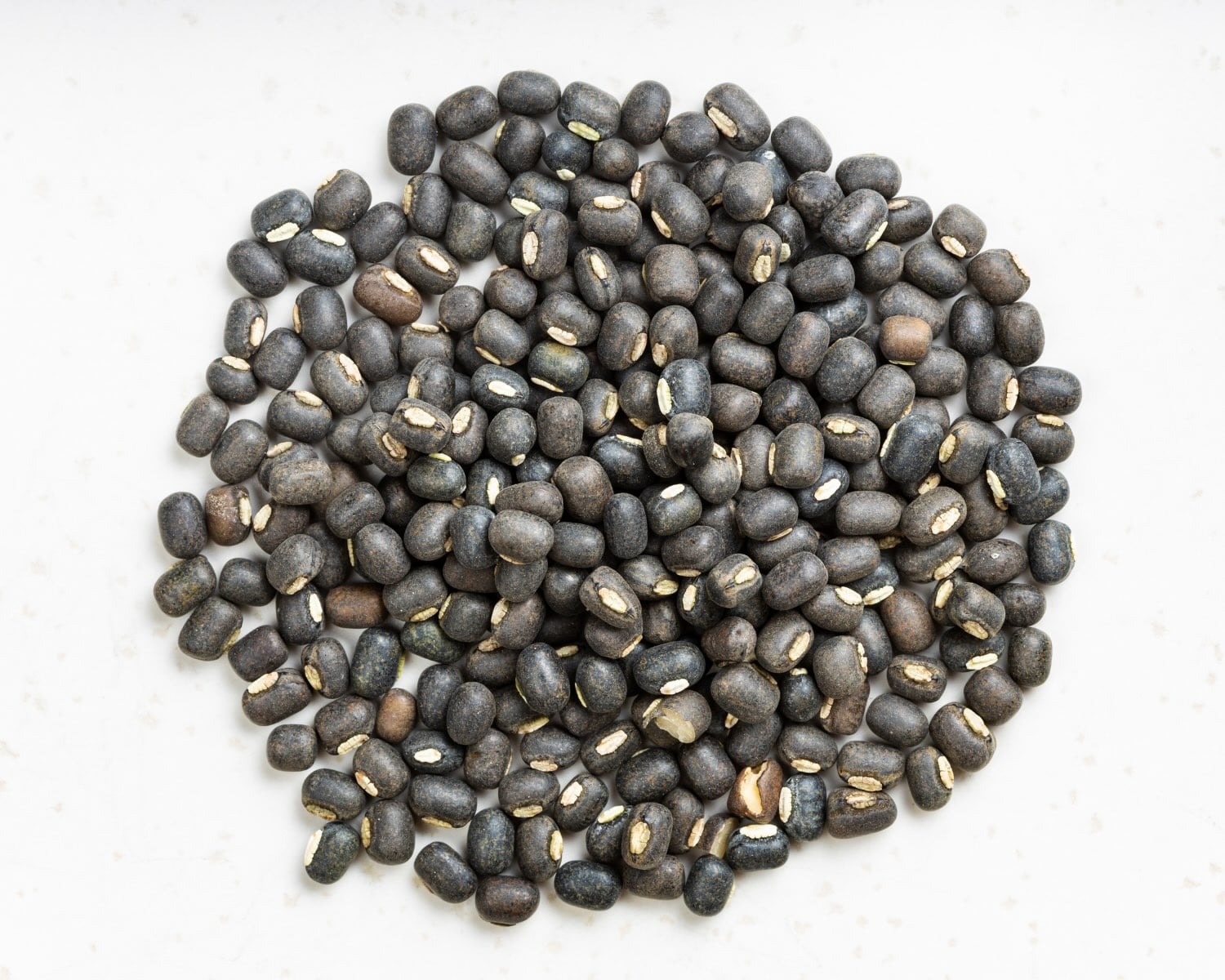Vegetables That Start with U - Namely Marly
